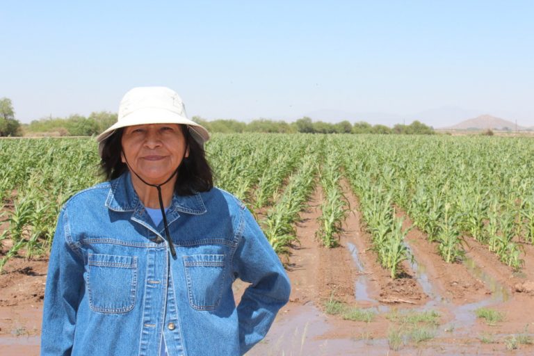 Gallery | Ramona Farms