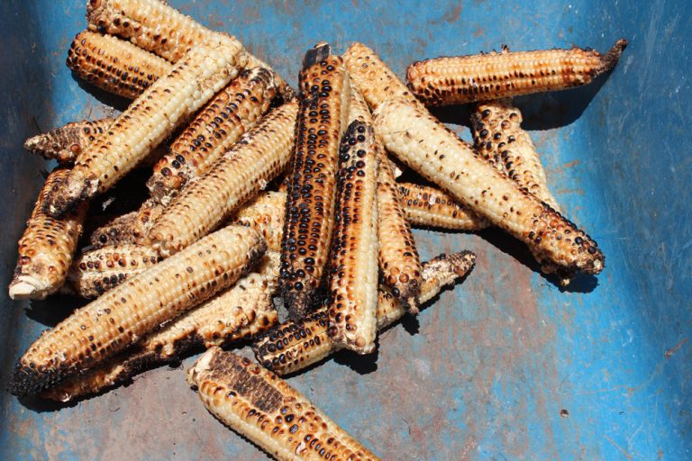 Gallery | Ramona Farms